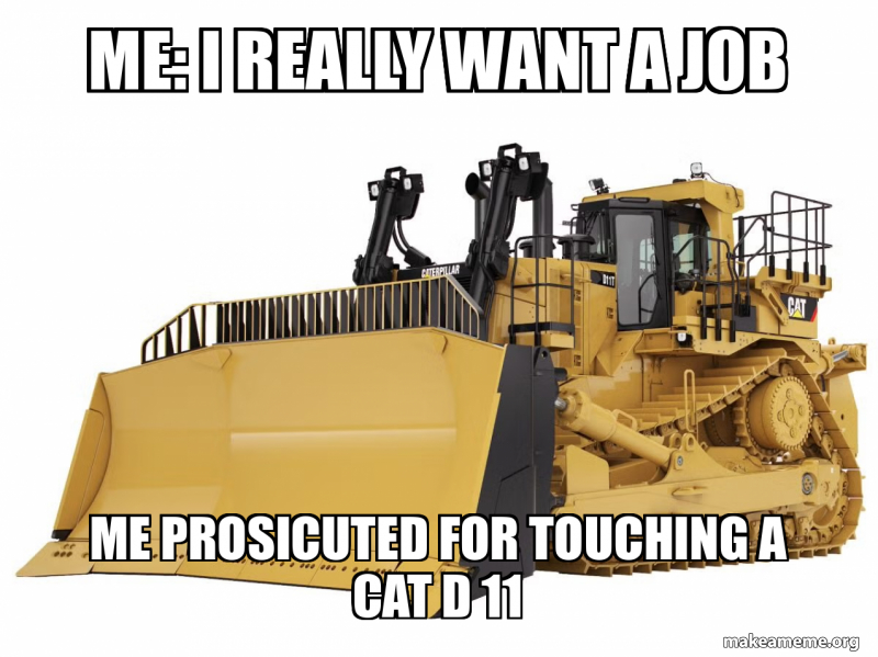 Me: i really want a job Me prosicuted for touching a cat d 11 Meme ...