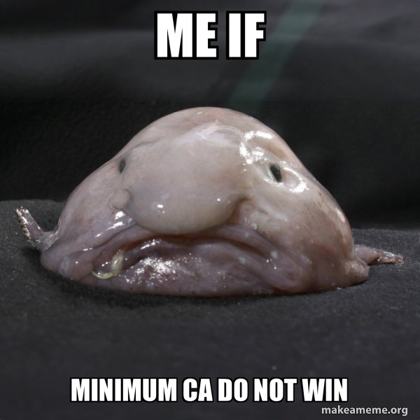 ME if minimum ca do not win - Blobfish Meme Generator