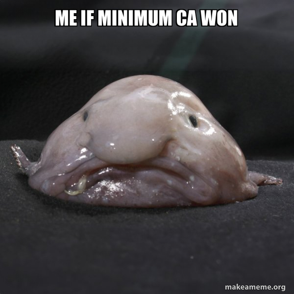 me if minimum ca won - Blobfish Meme Generator