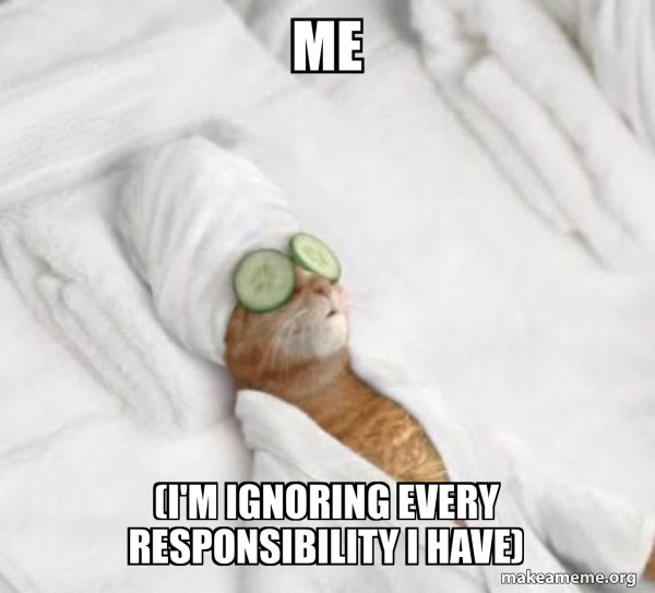 me (I'm ignoring every responsibility I have) - Pampered Cat Meme Meme ...