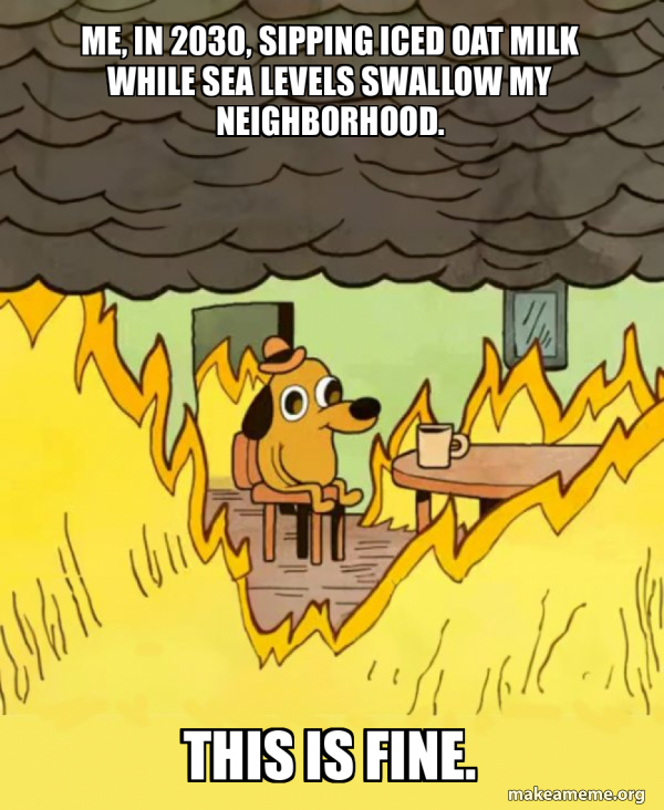 Me, in 2030, sipping iced oat milk while sea levels swallow my ...