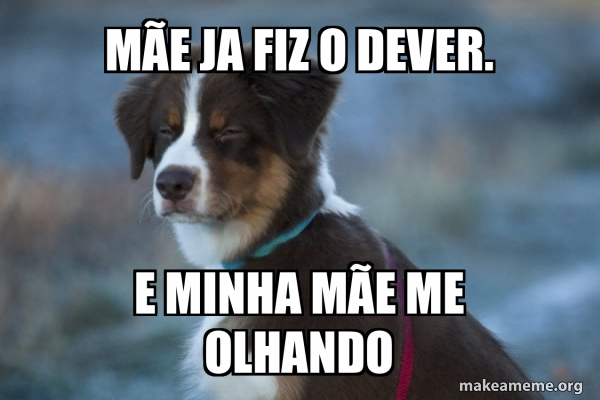 MÃE JA FIZ O DEVER. E MINHA MÃE ME OLHANDO - Unsure Dog Meme Generator