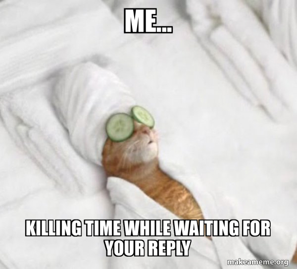 ME... Killing Time while Waiting for your reply - Pampered Cat Meme ...