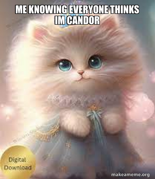 me knowing everyone thinks im candor Meme Generator