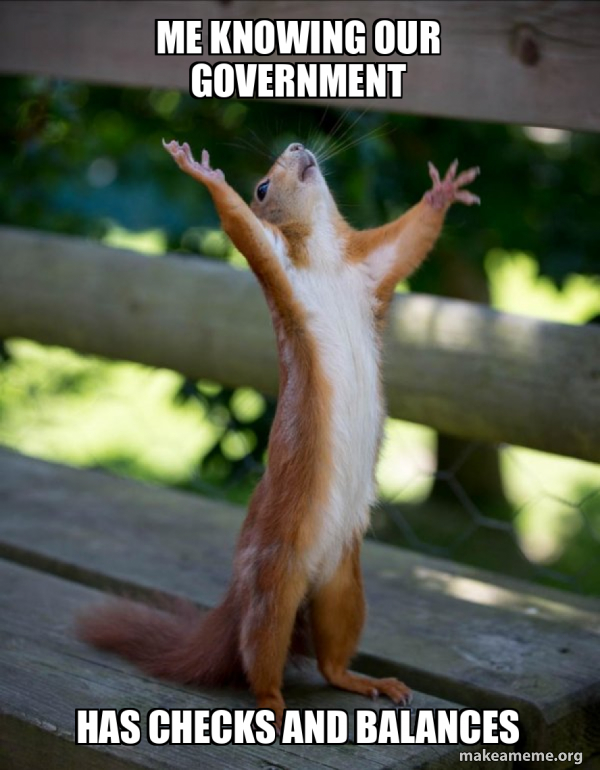 Me knowing our government Has checks and balances - Happy Squirrel Meme ...