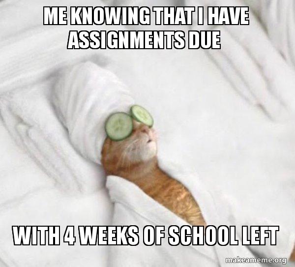 me knowing that i have assignments due with 4 weeks of school left ...