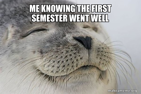 me knowing the first semester went well - Satisfied Seal Meme Generator