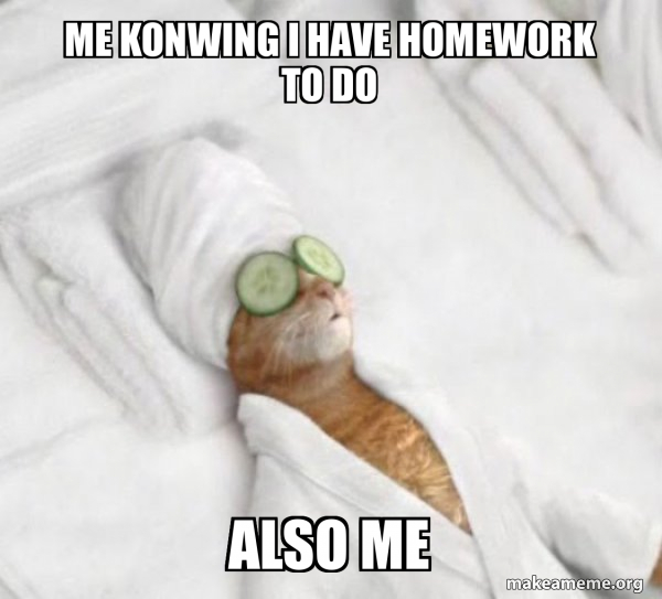 me konwing i have homework to do also me - Pampered Cat Meme Meme Generator