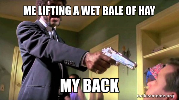 Me lifting a wet bale of hay My back - Samuel L. Jackson Say What Meme ...