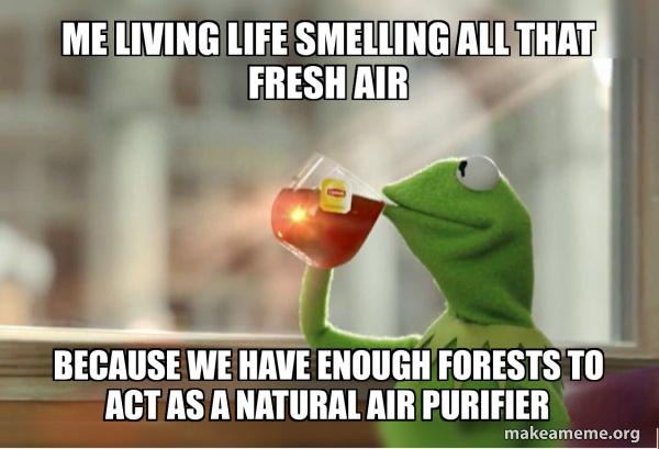 Me Living Life Smelling All That Fresh Air Because We Have Enough ...