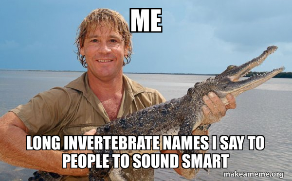 Me Long Invertebrate names I say to people to sound smart - Steve irwin ...