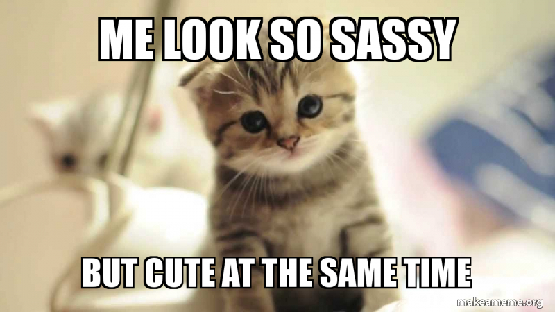 me look so sassy but cute at the same time Meme Generator