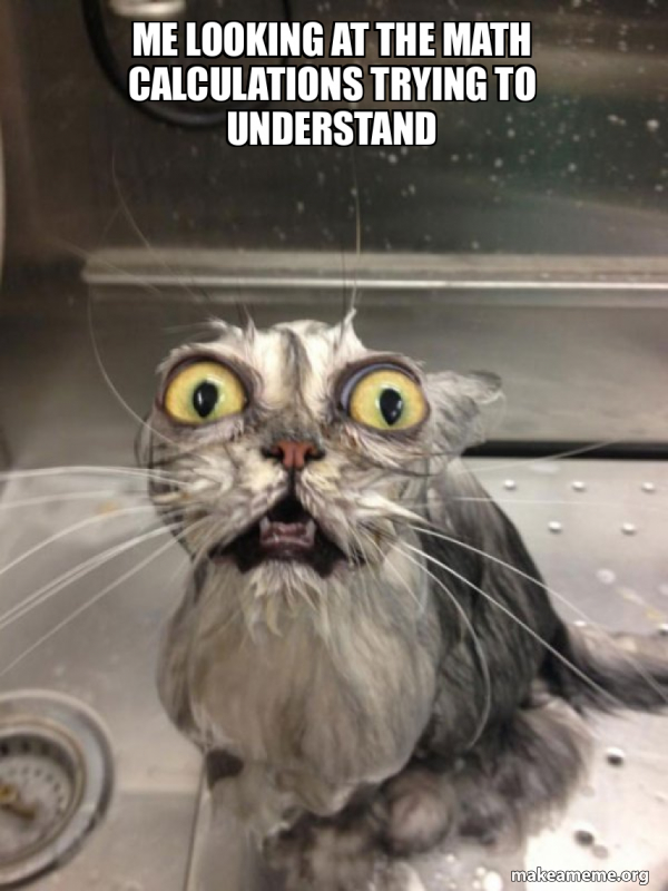 me looking at the math calculations trying to understand - Cat bath ...