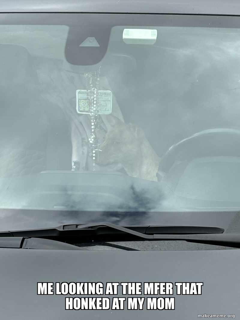 Me looking at the mfer that honked at my mom Meme Generator