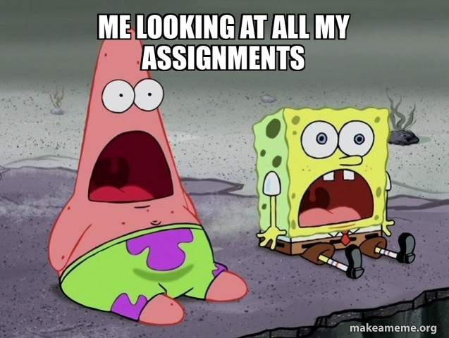 Me Looking at all my assignments Meme Generator