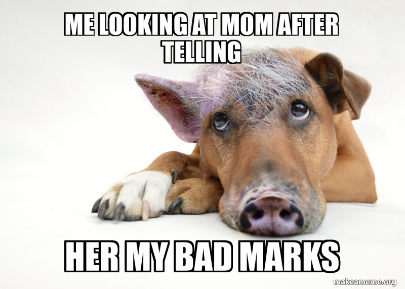 me looking at mom after telling her my bad Marks Meme Generator