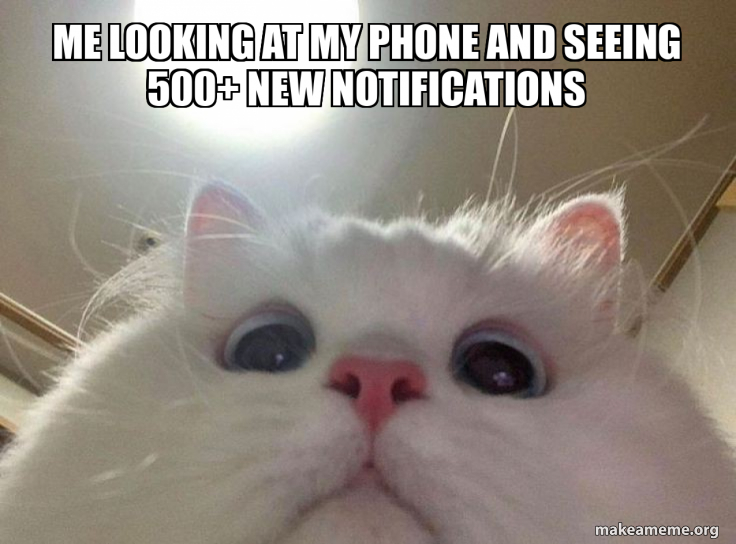 Me looking at my phone and seeing 500+ new notifications Meme Generator