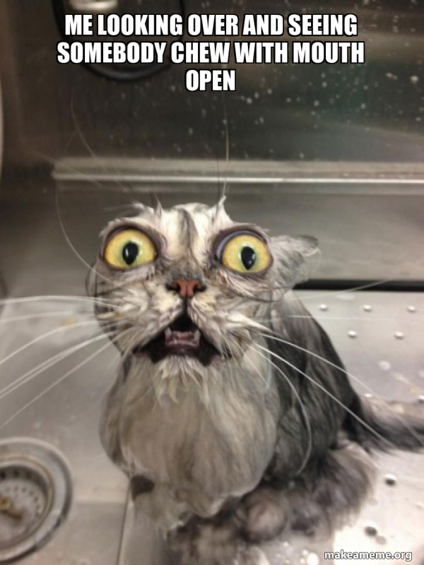 Me looking over and seeing somebody chew with mouth open - Cat bath ...