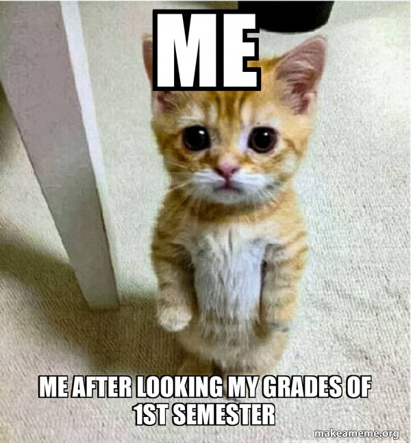 Me Me after looking my grades of 1st semester - Cute Cat Standing Meme ...