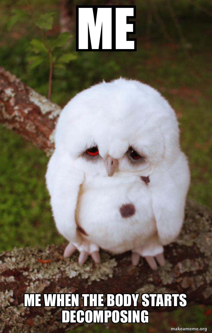 Me Me when the body starts decomposing - Sad Owl Meme Generator