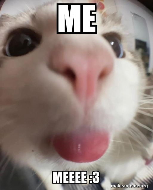 Me Meeee :3 Meme Generator