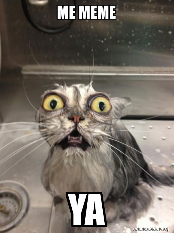 me meme ya - Cat bath Meme Generator