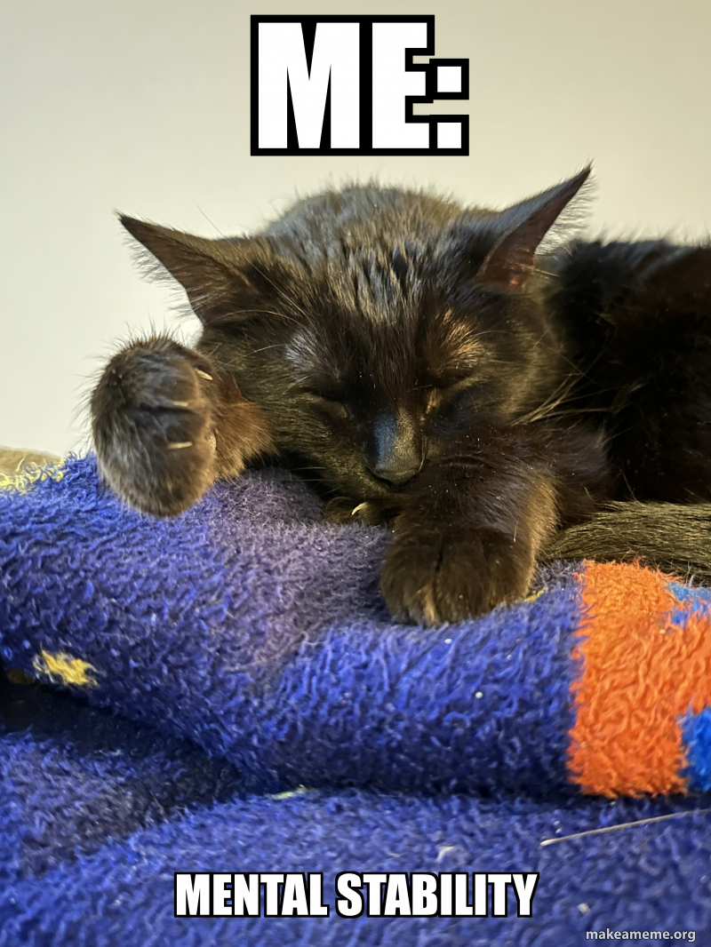 Me: Mental Stability Meme Generator