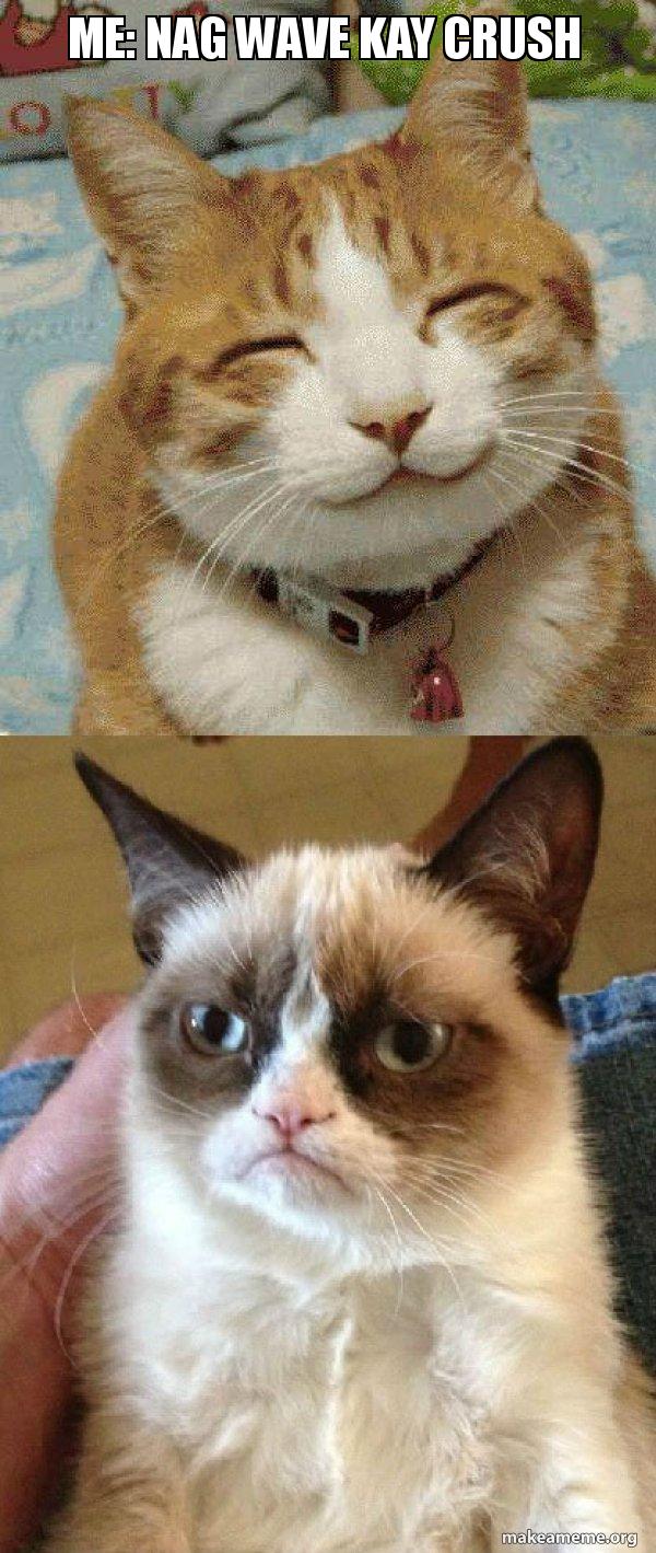 ME: NAG WAVE KAY CRUSH - Grumpy Cat vs Happy Cat Meme Generator