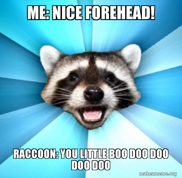 Me: Nice Forehead! Raccoon: You little boo doo doo doo doo - Lame Pun ...