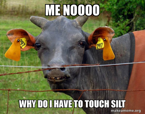 Me noooo why do i have to touch silt - Hairless Cow Meme Generator