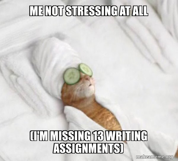 me not stressing at all (i'm missing 13 writing assignments) - Pampered ...