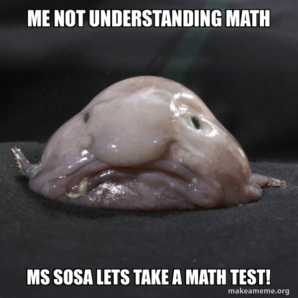 me not understanding math Ms Sosa Lets Take A Math Test! - Blobfish ...