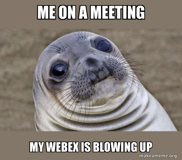 Me On a meeting My webex is blowing up - Squeamish Seal Meme Generator