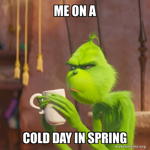 ME ON A COLD DAY IN SPRING - Grinch Meme Generator