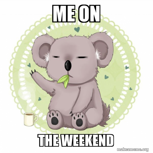 Me on The weekend - Aussie Koala doing the night shift Meme Generator