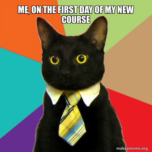 me, on the first day of my new course - Business Cat Meme Generator