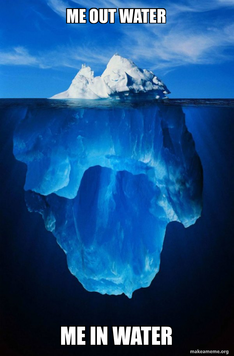 Me out water Me in water - Iceberg Meme Generator