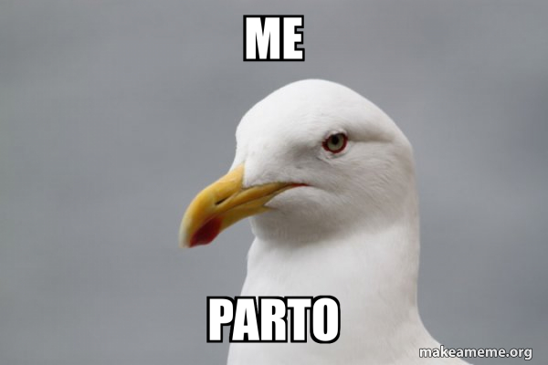 me parto - Stuff That Didn't Happen Seagull Meme Generator