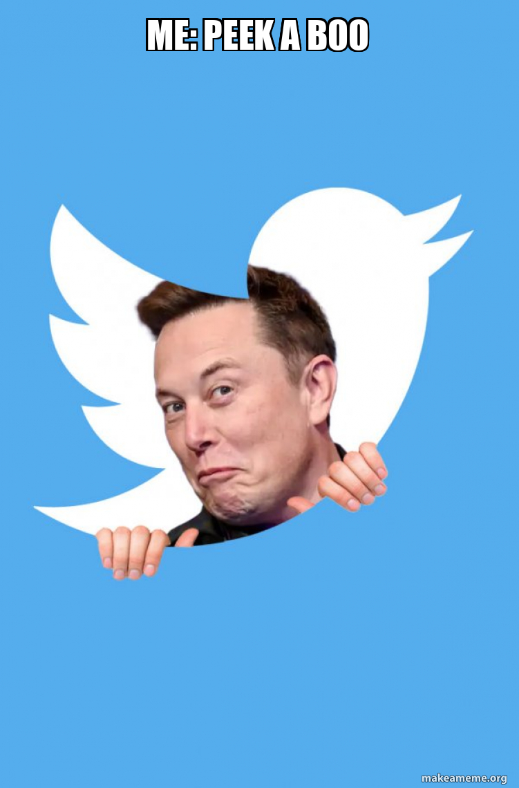 me: peek a boo - Elon Musk Twitter Meme Generator