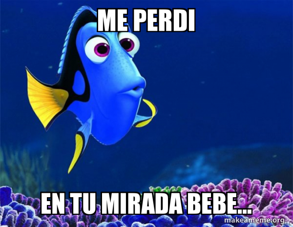 Me perdi En tu mirada bebe... - Dory from Nemo (5 second memory) Meme ...