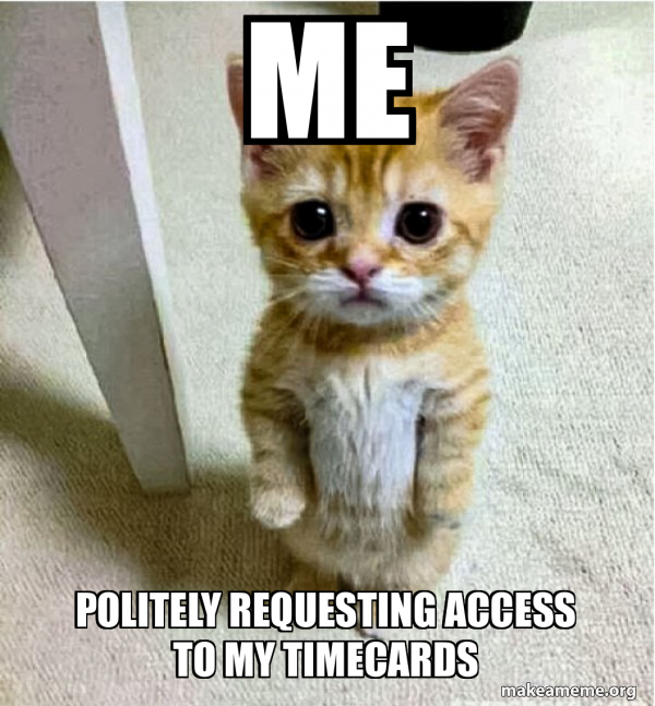 me politely requesting access to my timecards - Cute Cat Standing Meme ...