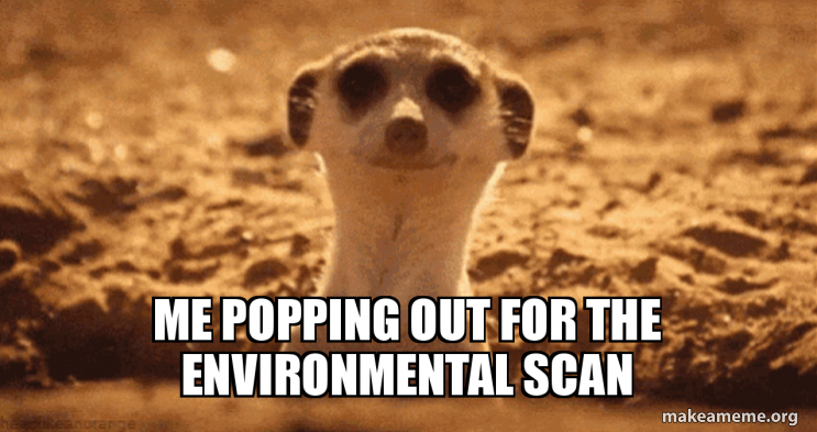 me popping out for the environmental scan Meme Generator