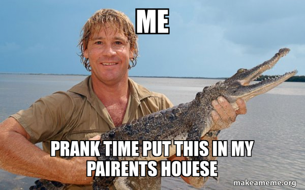 me prank time put this in my pairents houese - Steve irwin Meme Generator