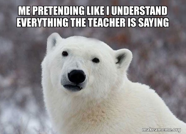 Me pretending like I understand everything the teacher is saying ...