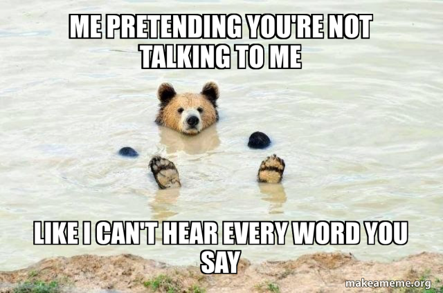 Me pretending you're not talking to me Like I can't hear every word you ...