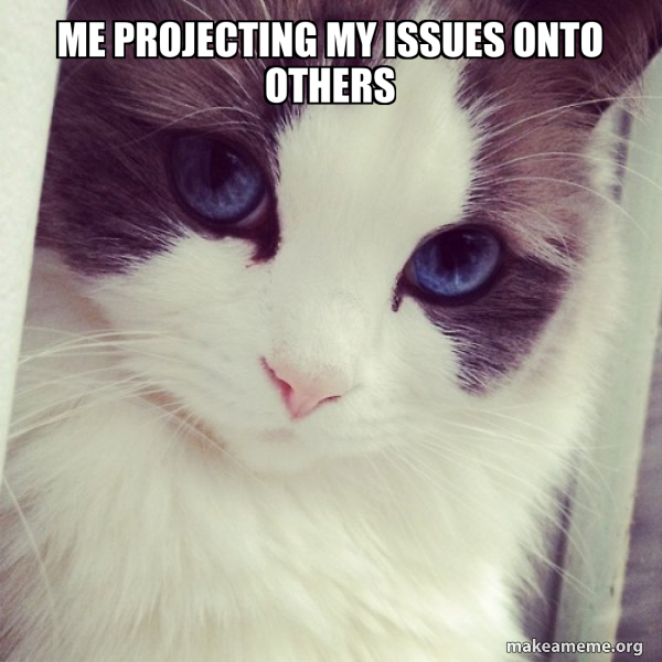 me projecting my issues onto others - Ridiculously Photogenic Cat Meme ...