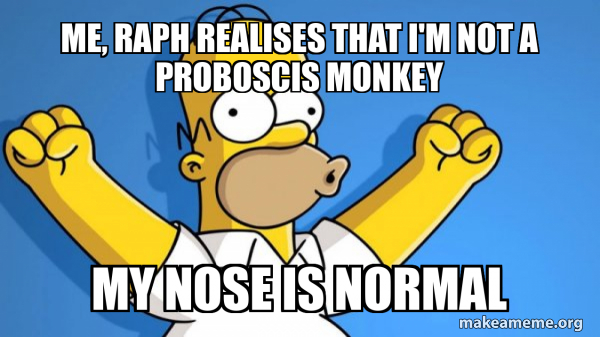 me, Raph realises that I'm not a Proboscis monkey my nose is normal ...