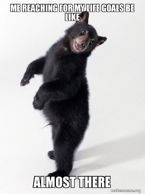 me reaching for my life goals be like almost there - Super Bear'd Meme ...