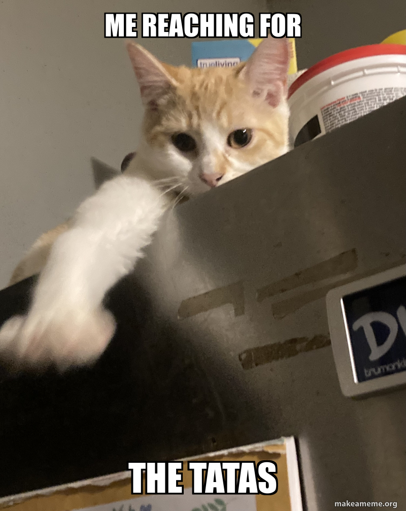 me reaching for the tatas Meme Generator