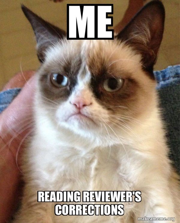 ME reading reviewer's corrections - Grumpy Cat Meme Generator